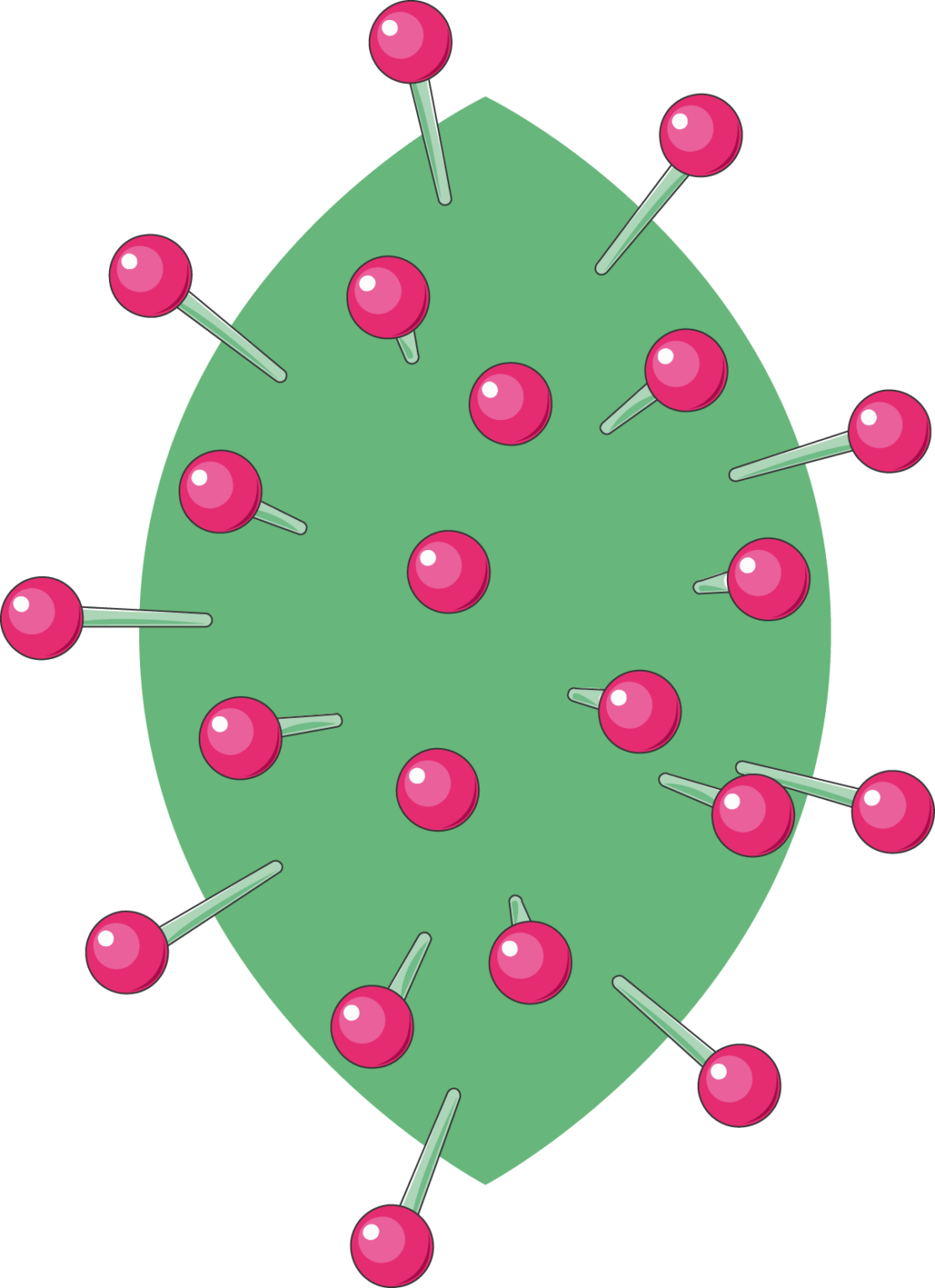 Infectiology- Page 3 of 6 - Servier Medical Art