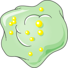 Foam cell - Servier Medical Art