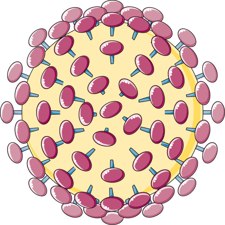 Virology - Servier Medical Art